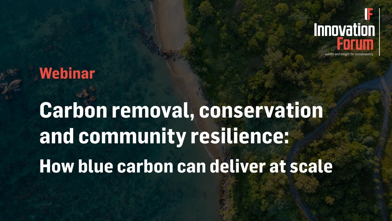 Carbon Removal Conservation And Community Resilience How Blue Carbon