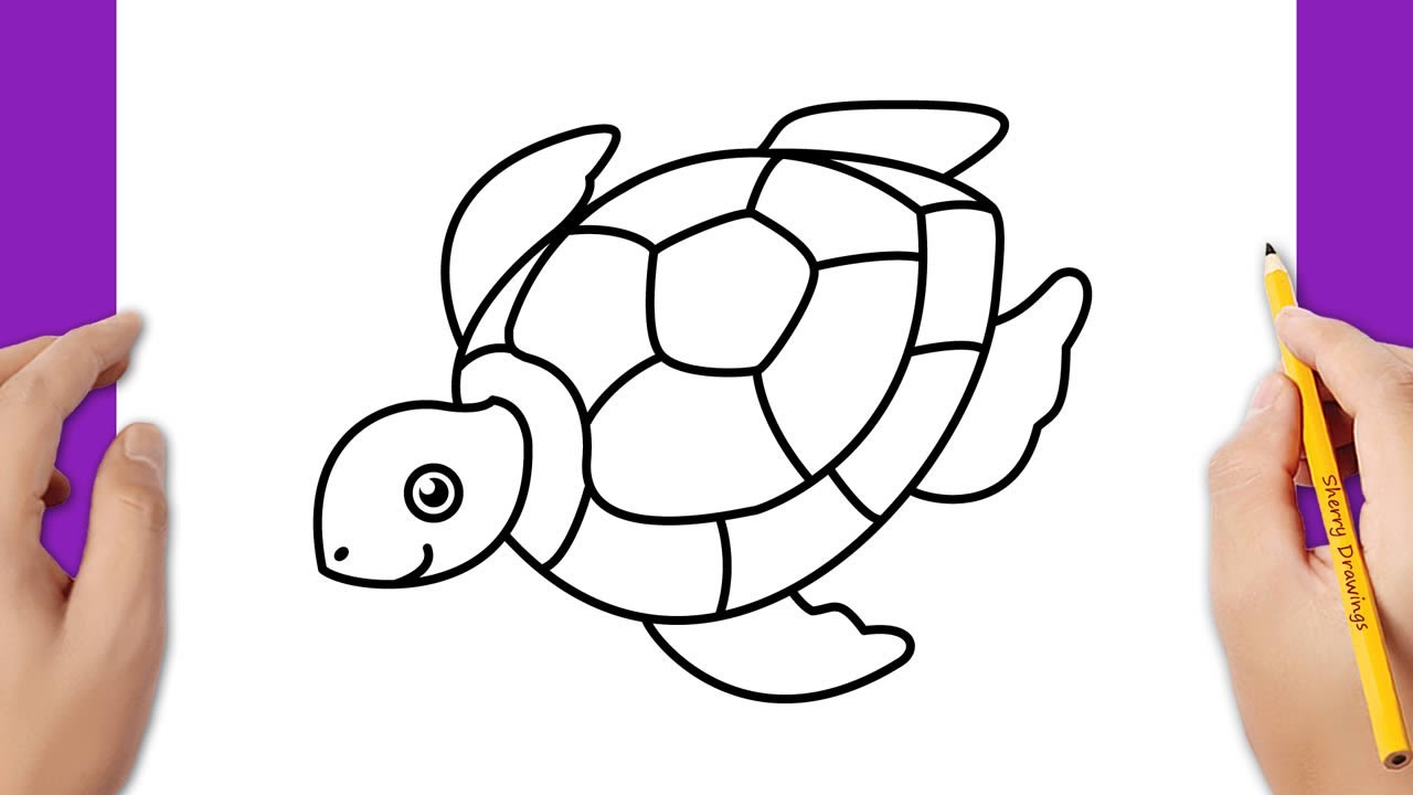 Simple Turtle Sketch