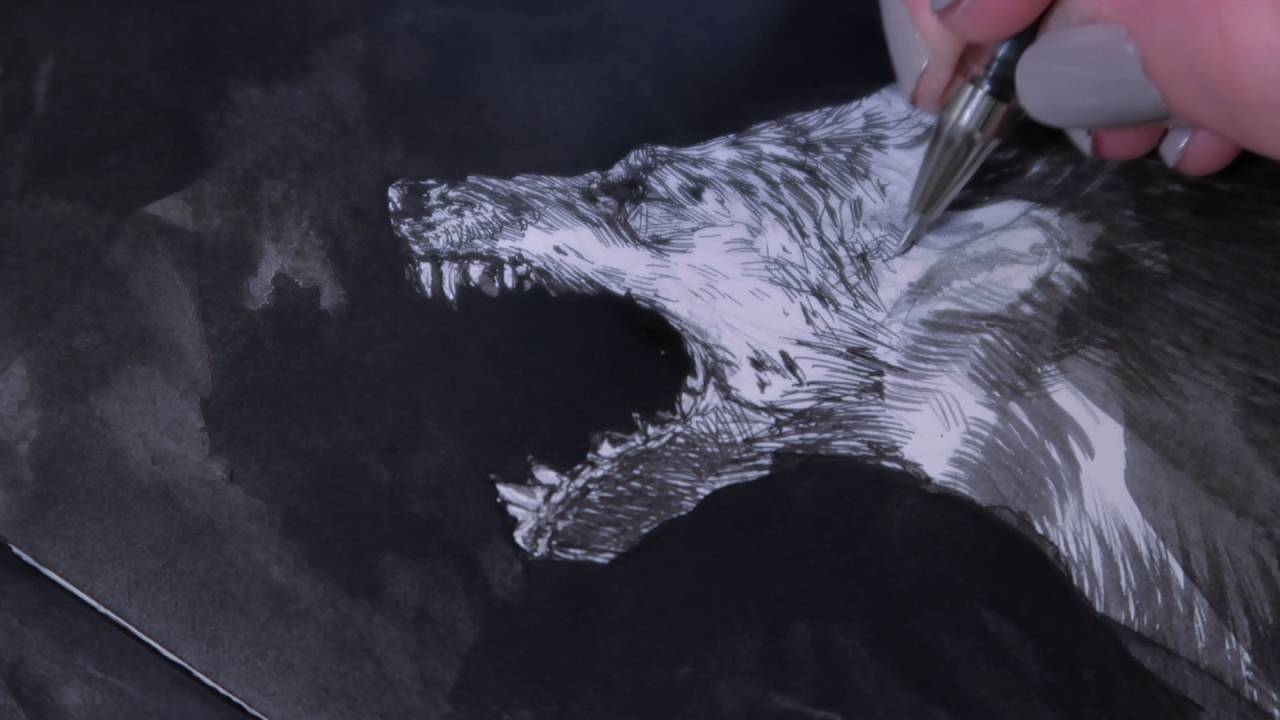 Wolf Constellation Ink Sketch Time Lapse Youtube