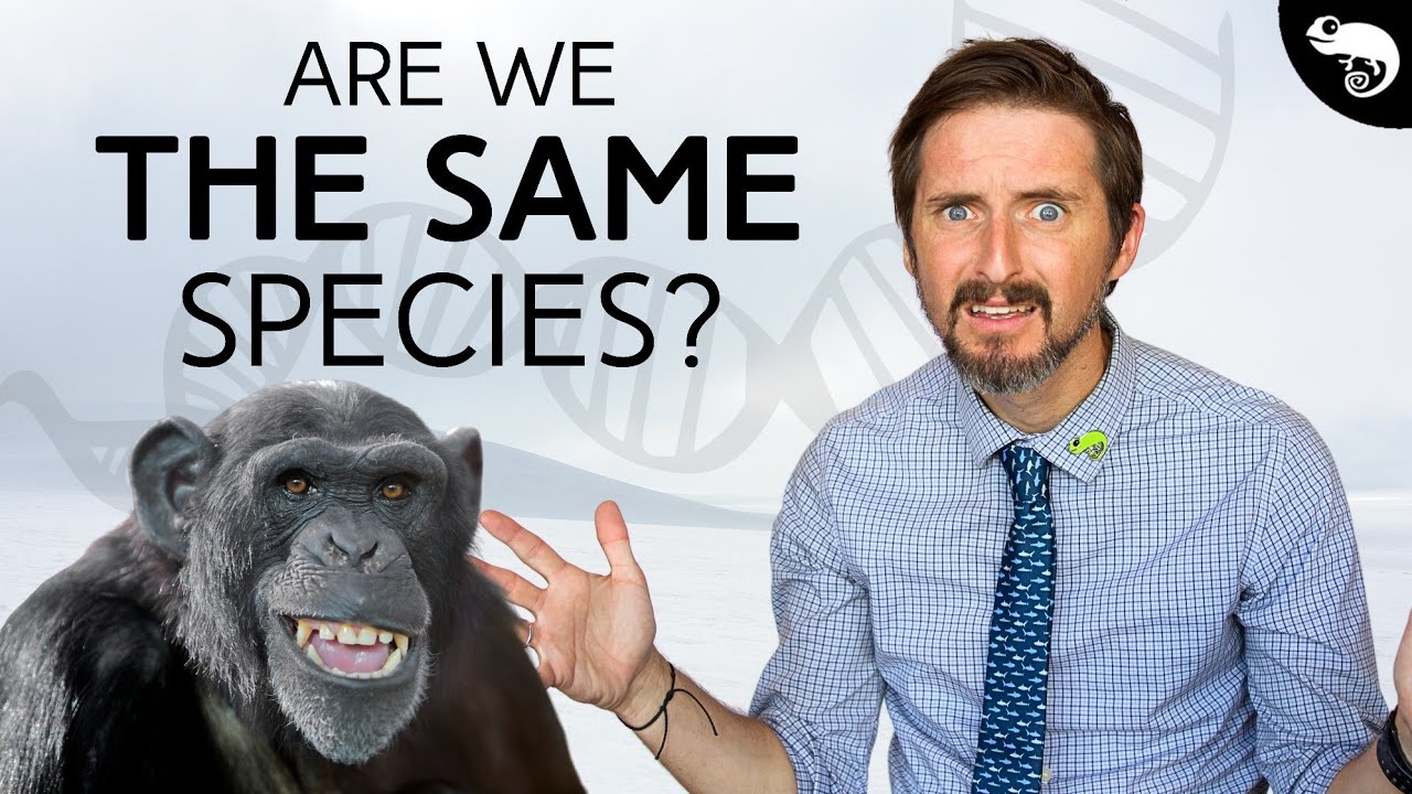 What Is A Species Nobody Knows Youtube