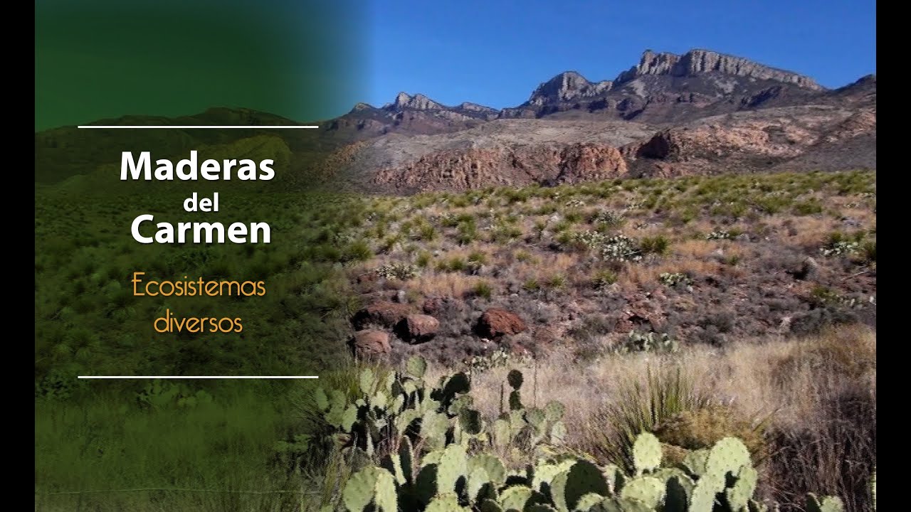 Maderas Del Carmen Ecosistemas Excepcionales Youtube