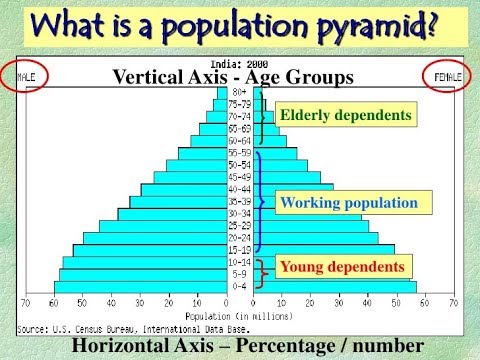 Population Pyramids Ap Human Geography Youtube