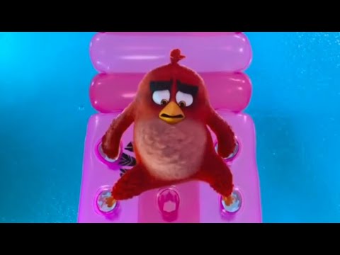 The Angry Birds 2 Red Best Moments Part2 Hd Animation Movies Youtube