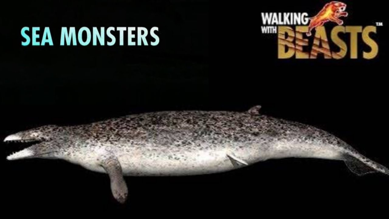 Walking With Series 2001 2004 Dorudon Screen Time Youtube