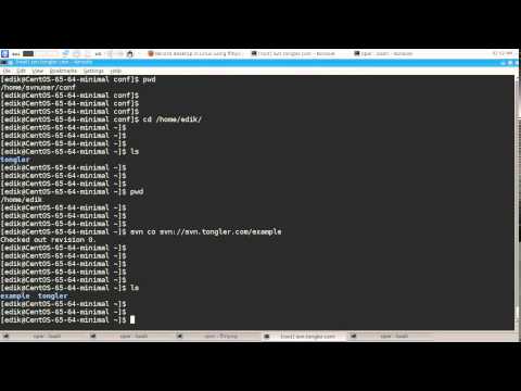 Subversion Tutorial Svn Quick Start
