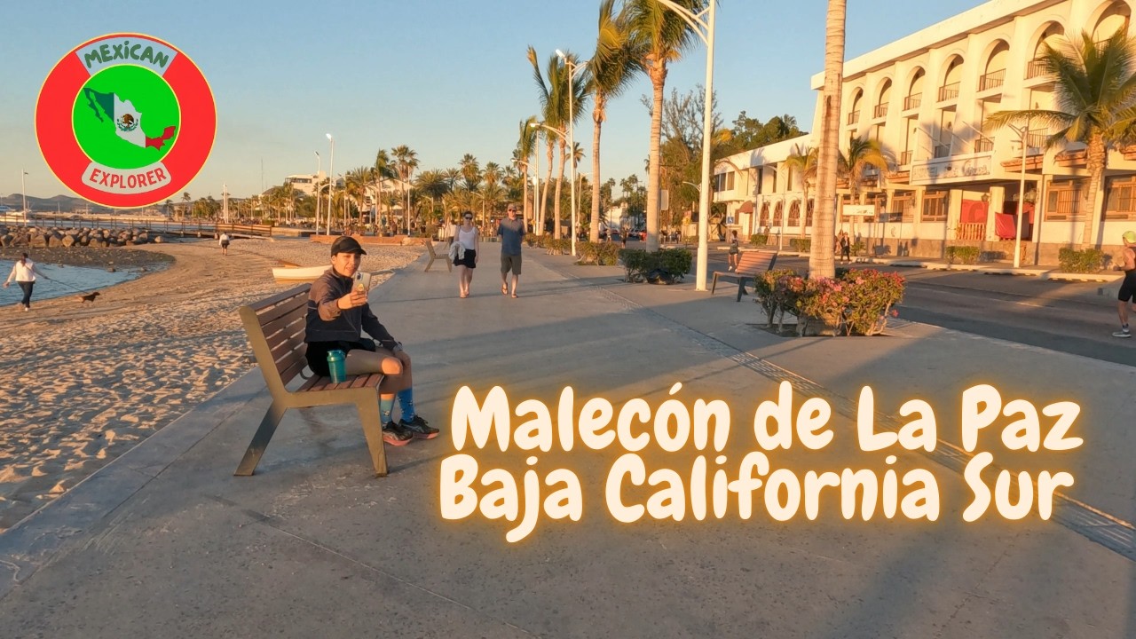 Malecón De La Paz Baja California Sur 4k Night Tour Youtube