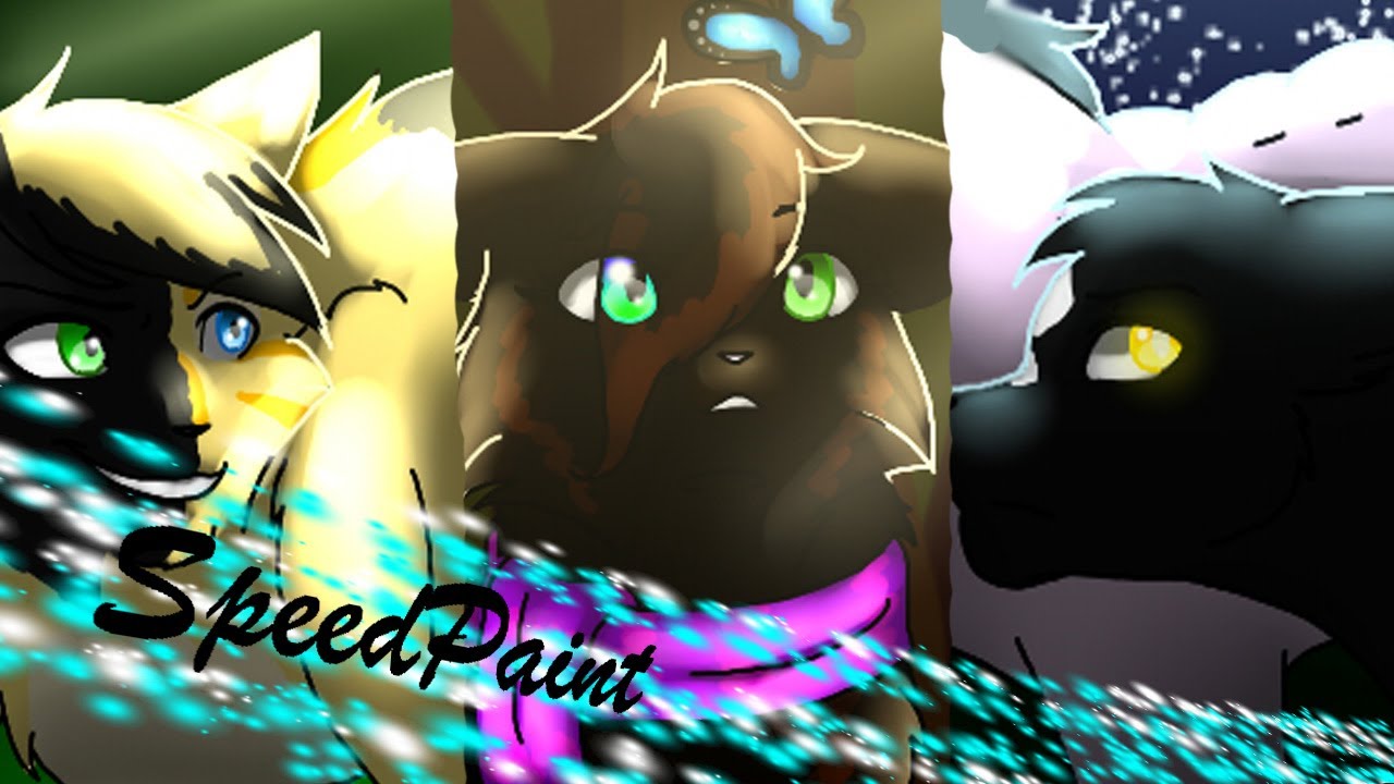 Apprentices Speedpaint Warriors Cats Oc Youtube