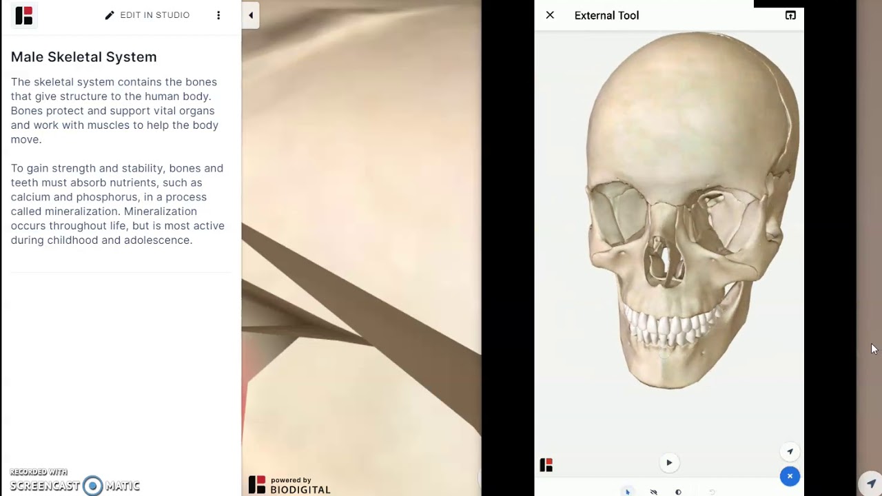 Biodigital 3d Tutorial Web Mobile Youtube