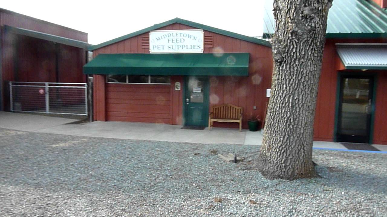 Middletown Animal Hospital Tour 2012 Youtube