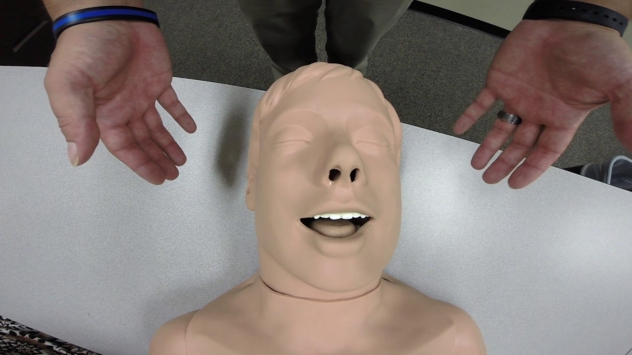 Chin Lift E Jaw Thrust At Gayla Wilson Blog