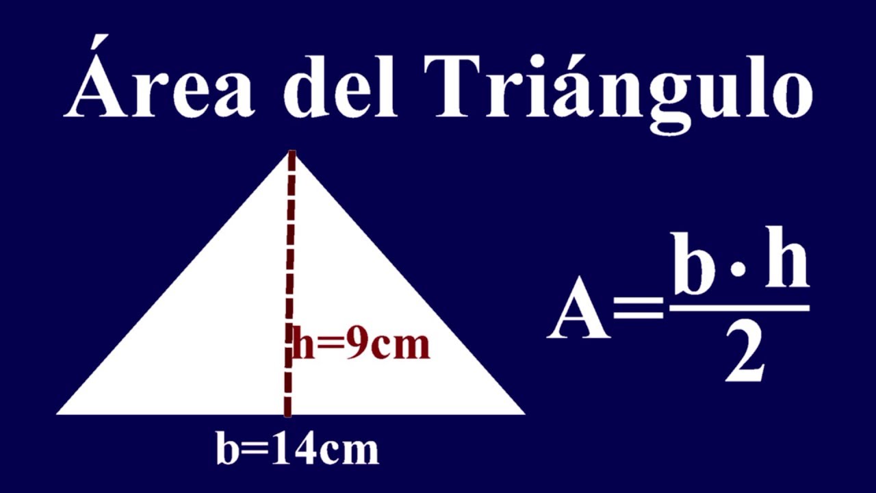 Calculadora De Area De Triangulo Fdplearn