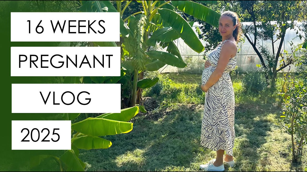 16 Weeks Pregnant Vlog 2025 Quaymbo Youtube