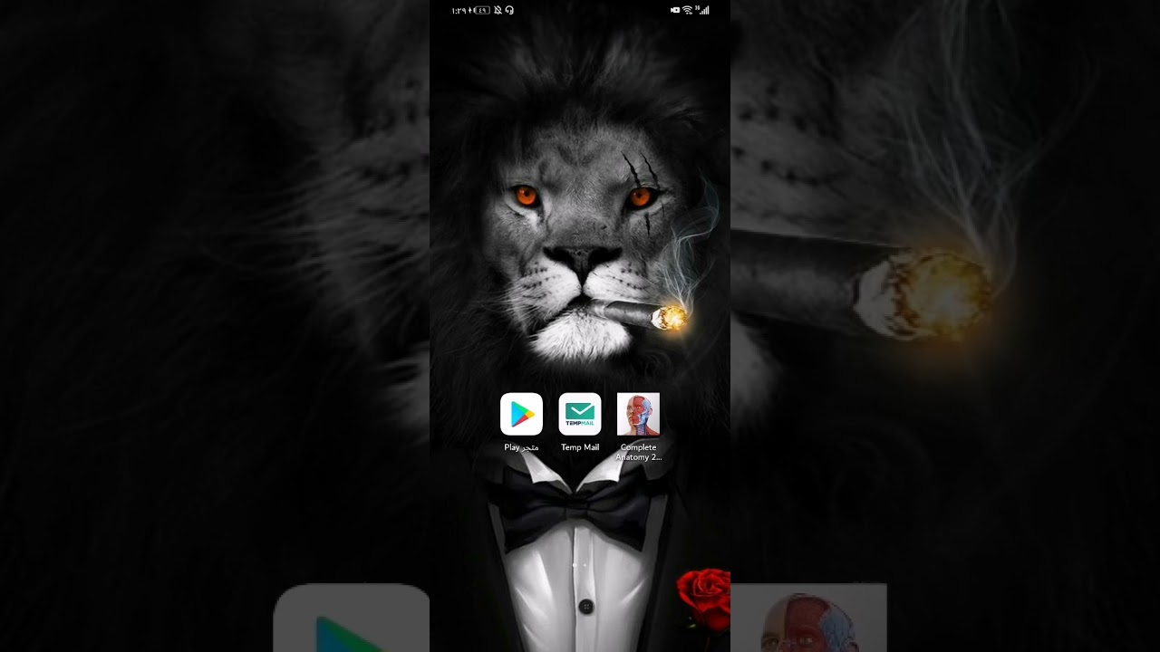 Complete Anatomy 2022 Rootden