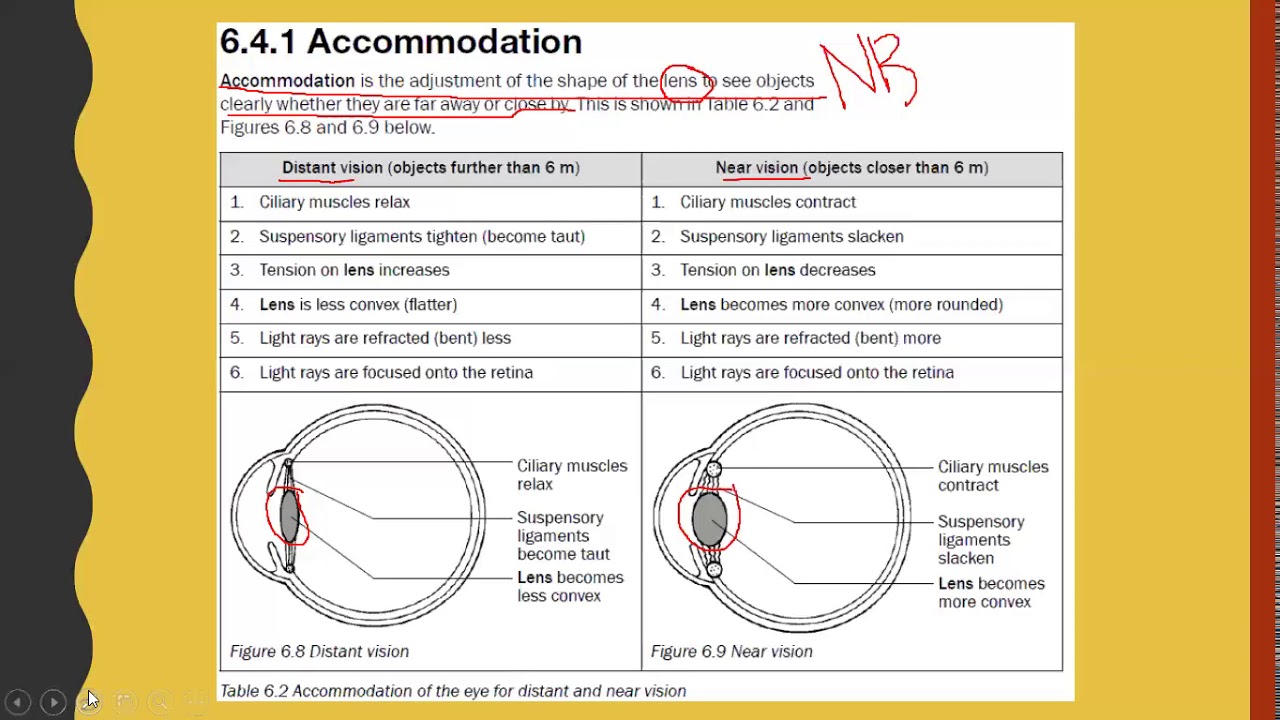 Accomodation Youtube