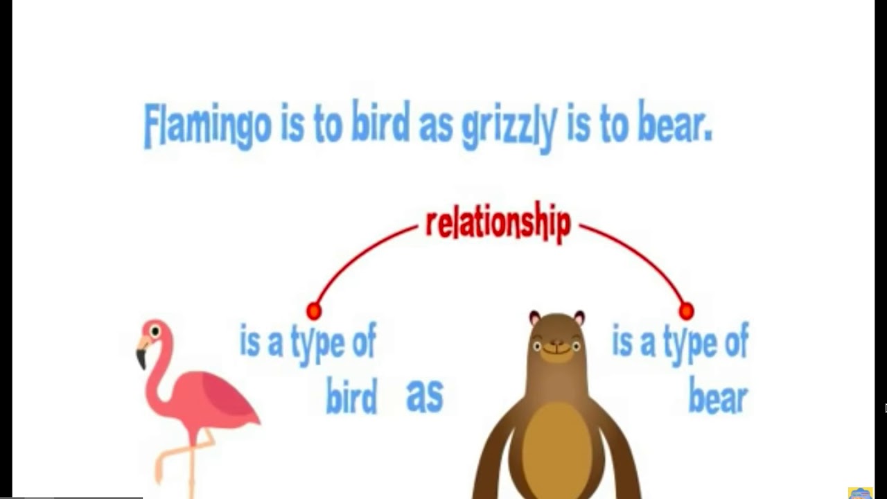 Analogies Youtube