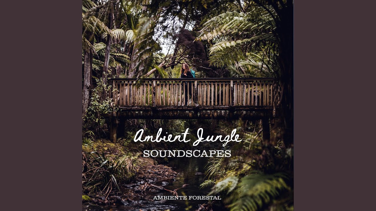 Simplified Loop Youtube