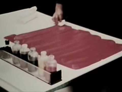Sunday Maptinee The Mapmaking Process 1973 Geography Realm