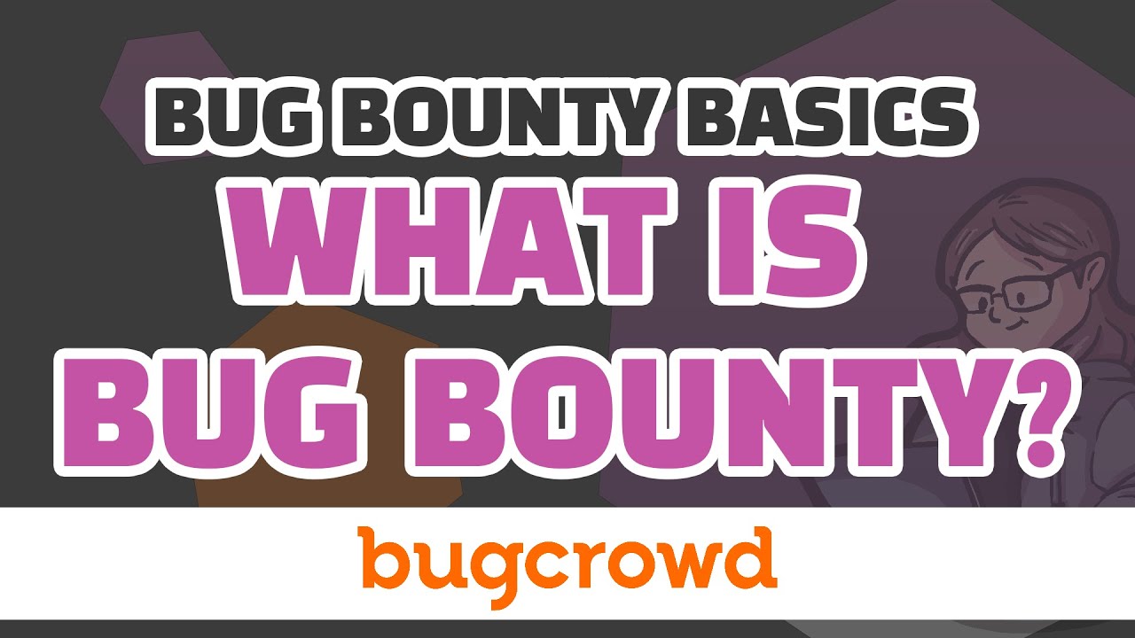 What Is Bug Bounty Youtube