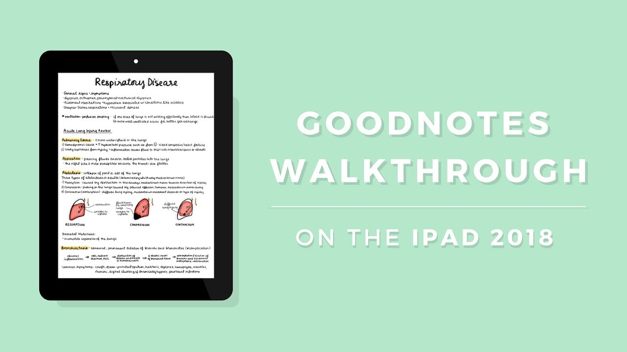 Goodnotes On The Ipad Walkthrough å ôÿå Youtube