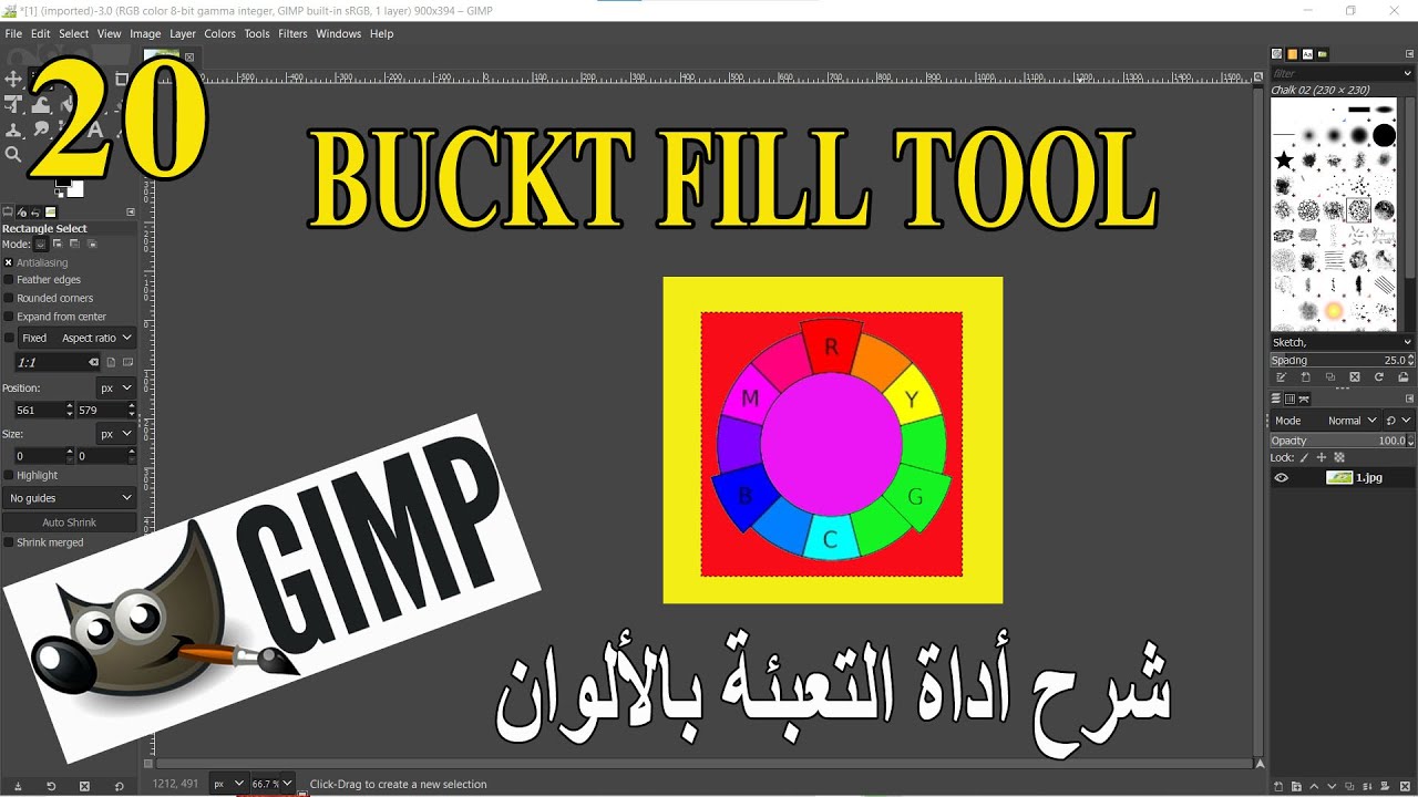 20 للمبتدئين شرح أداة التعبئة بالألوان فى برنامج Bucket Fill Tool In