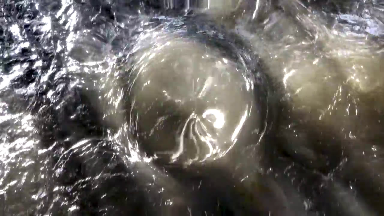 Downsampling Freedom Youtube