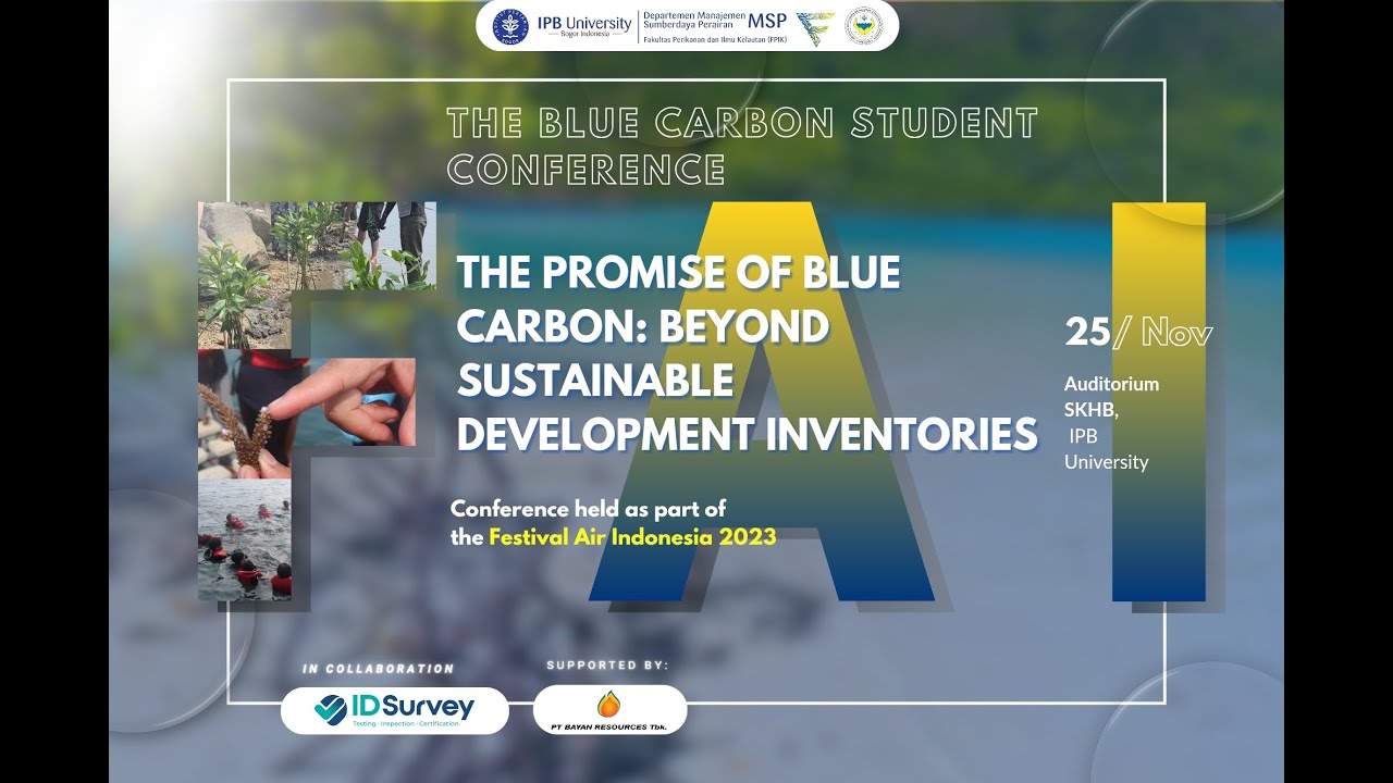 The Promise Of Blue Carbon Beyond Sustainable Development Inventories