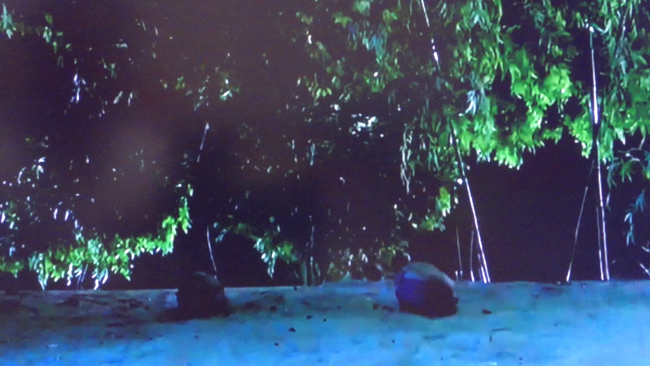 霹靂 P1010285 Youtube