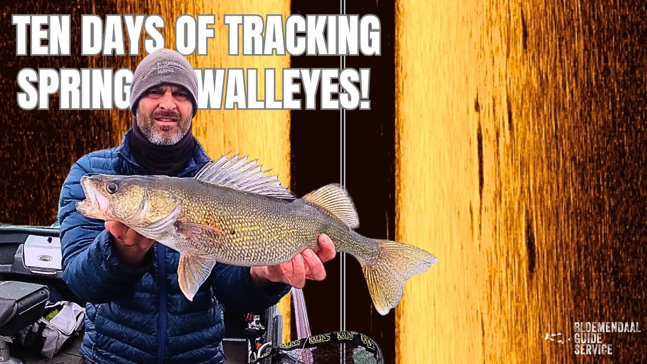 The Ultimate Post Spawn Walleye Project Youtube