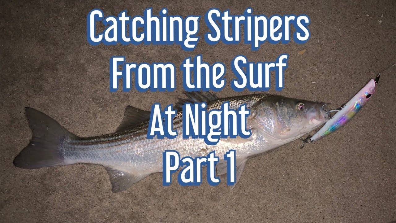 Catching Stripers From The Surf At Night Part 1 Dark Night Video