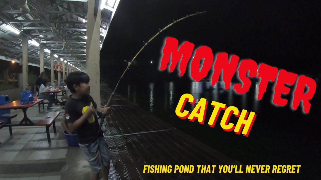 Extreme Fishing Pond Monster Fish Youtube