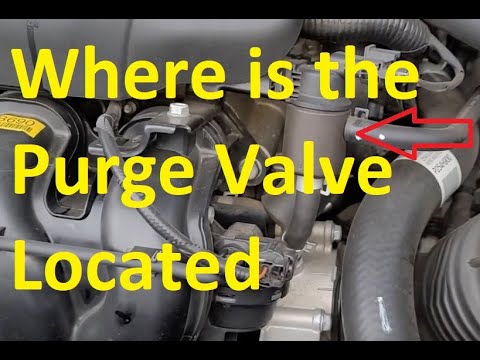 Where Is The Purge Valve Located How To Locate The Evap Purge Valve