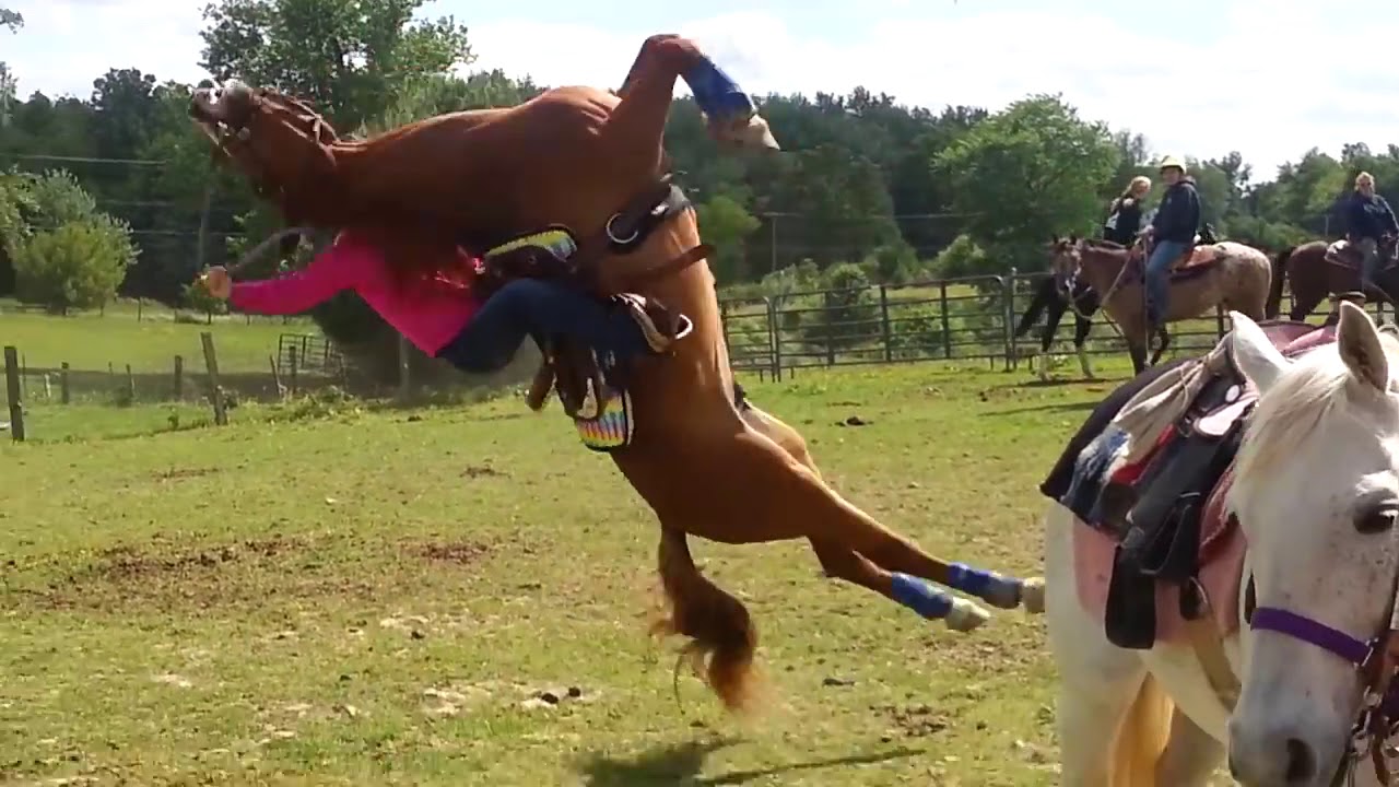 Horse Flips On Rider Youtube