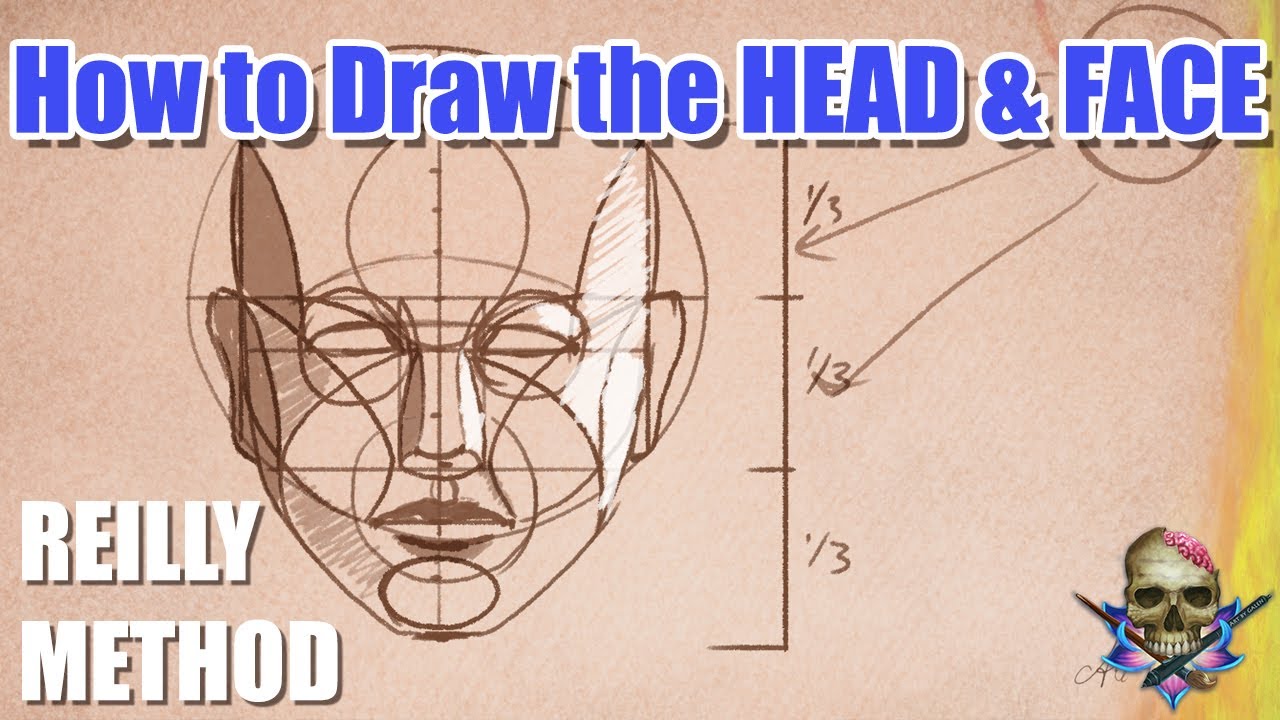 How To Draw The Head And Face Reilly Method Art Tutorial Youtube