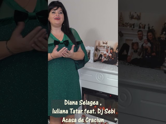 Diana Selagea - Acasa de craciun PROMO