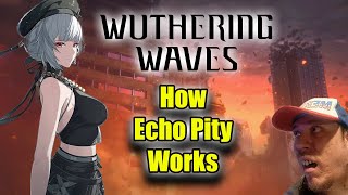 Echo Pity System Wuthering Waves Cletus Nate Wuthering Waves Mp3 Music & Mp4 video downloads