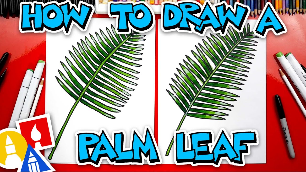 How To Draw Palm Tree Leaves Palm Leaf Line Drawing Stock