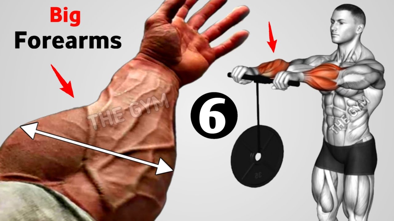 6 Effective Forearm Exercises For Bigger Arms Gym Workout Youtube
