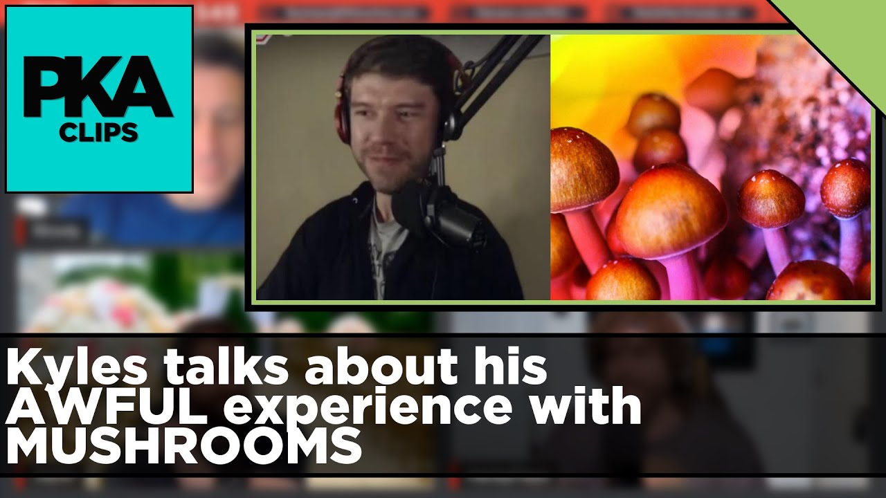 Kyles Talks About His Awful Experience With Mushrooms Pka Clip Youtube