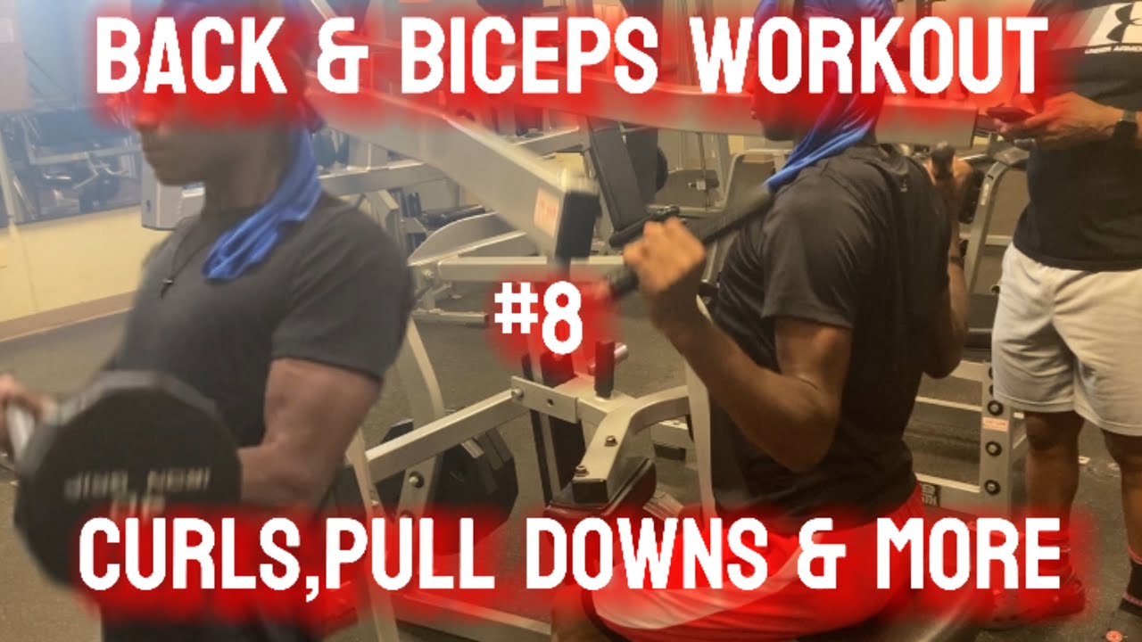 Back Biceps Workout Youtube