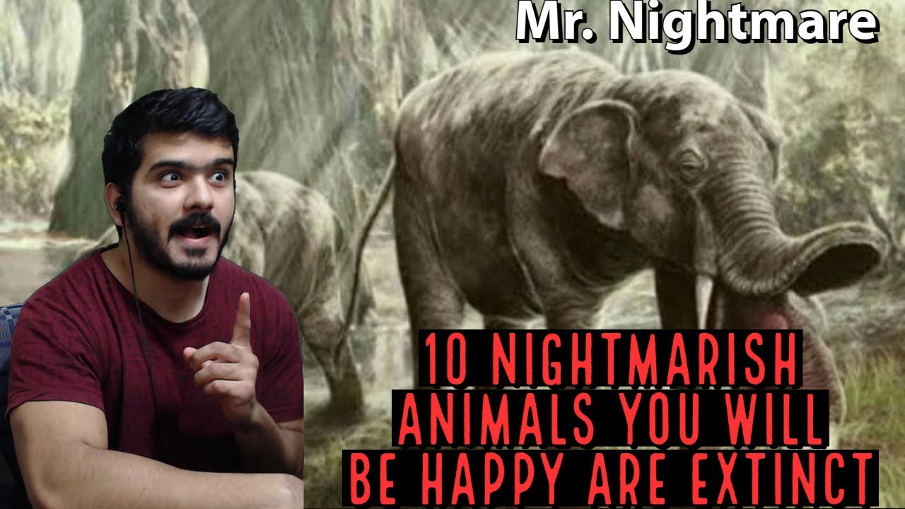 10 Nightmarish Animals You Will Be Happy Are Extinct Mr Nightmare