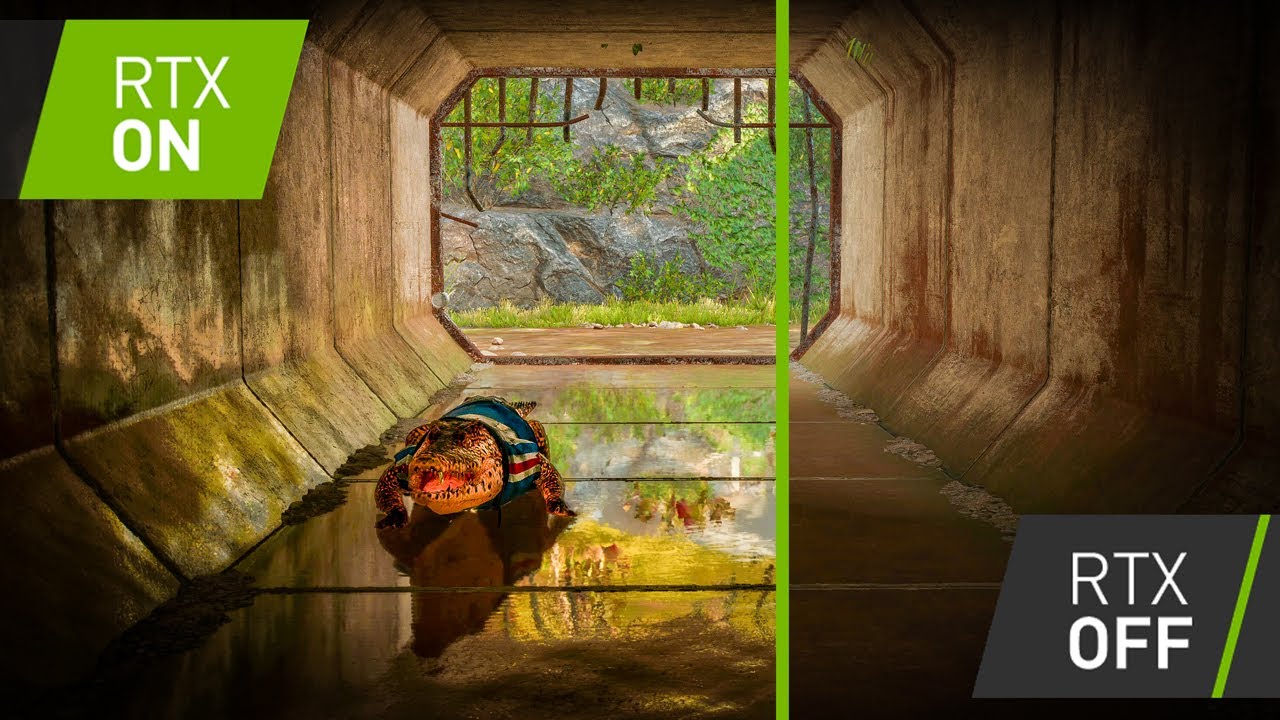 3d Graphics Camera Projection