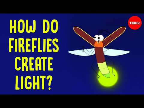 How Do Tornadoes Form James Spann Ted Ed