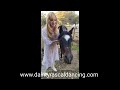 Dainty Rascal Dancing Horse Rescue Stories Heart Of Gold Sanctuary Mp3 ...