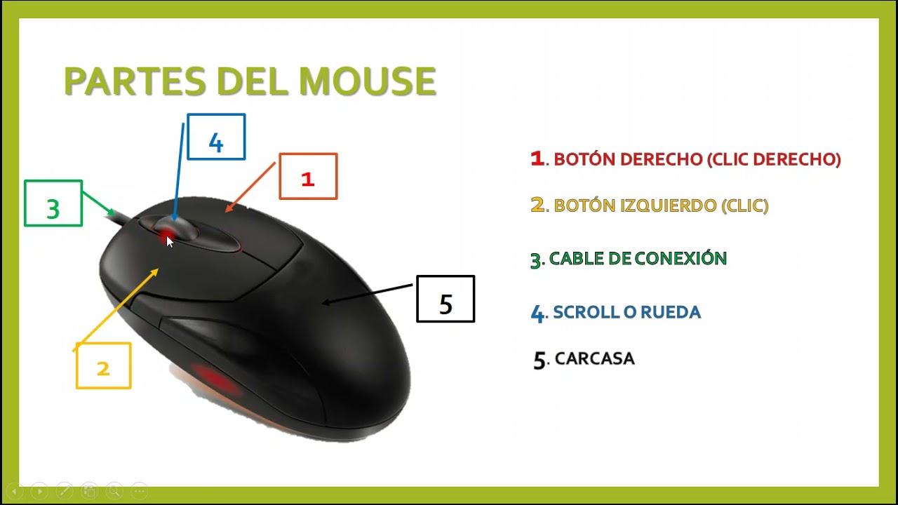 рџ El Mouse Sus Partes Y Sus Funcione Youtube