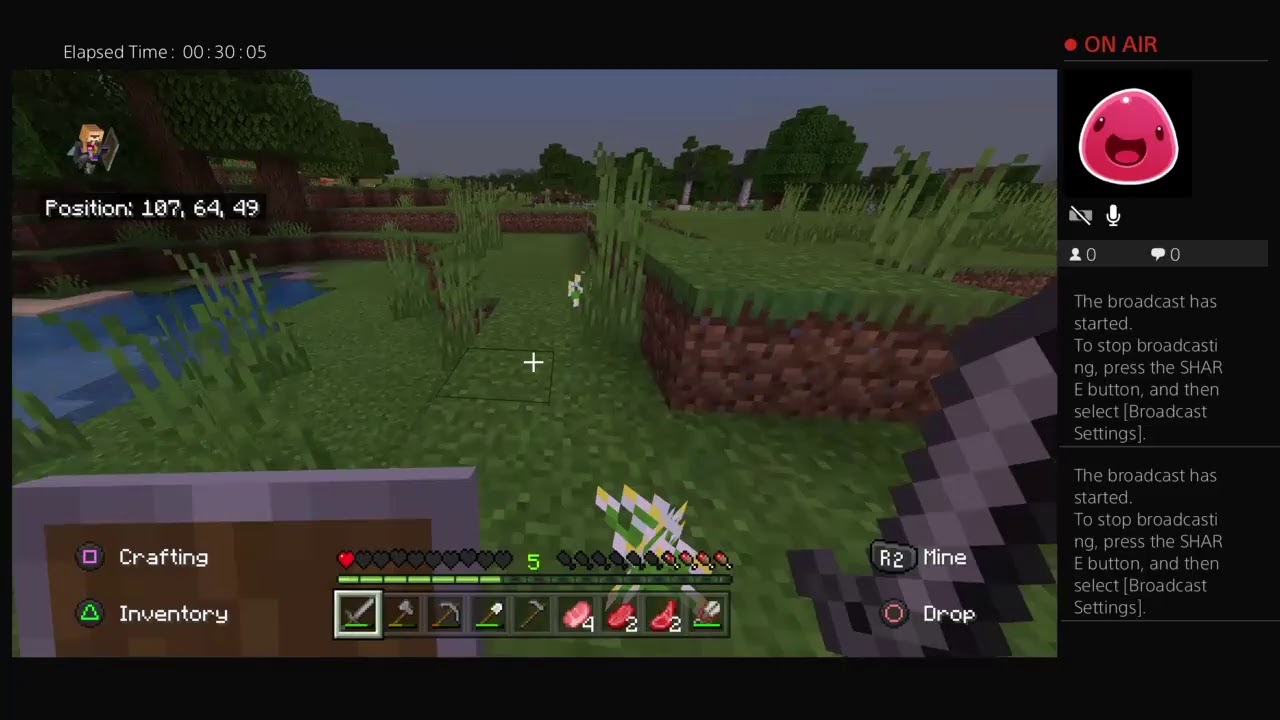 Minecraft Day Youtube