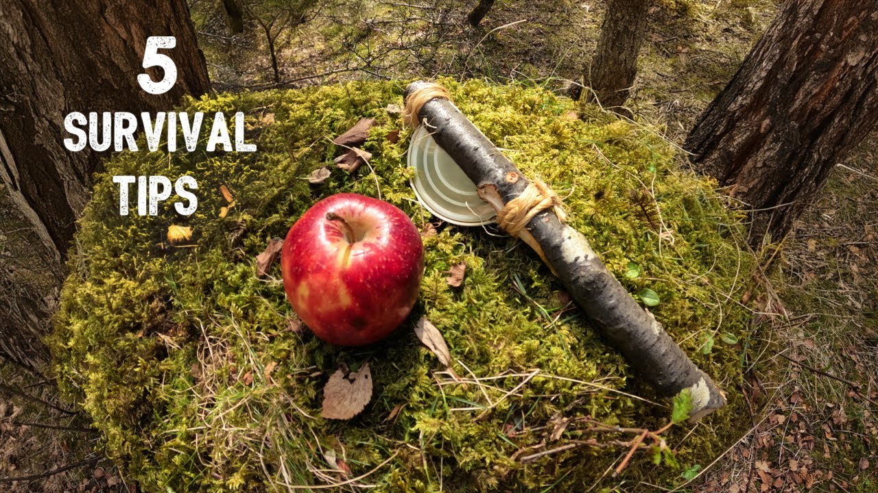 5 Wilderness Survival Tips Bushcraft Skills Youtube