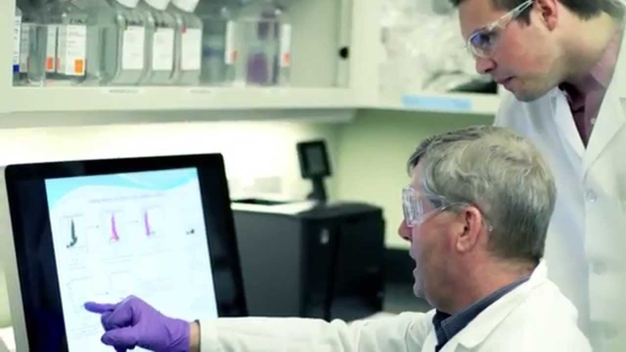 Flowmetric Cell Sorting Services Youtube