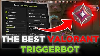 Best Valorant Triggerbot Undetected External 2025 Baby Yt Mp3 Mp4