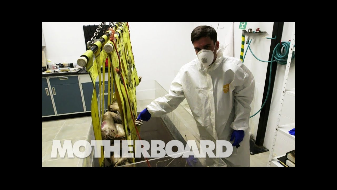 Still Life Top Documentary Films Top Documentary Films