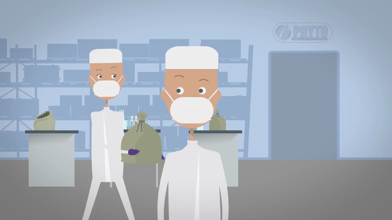 Animated Explainer By Guyman Studio Phyto 2d Explainer Video